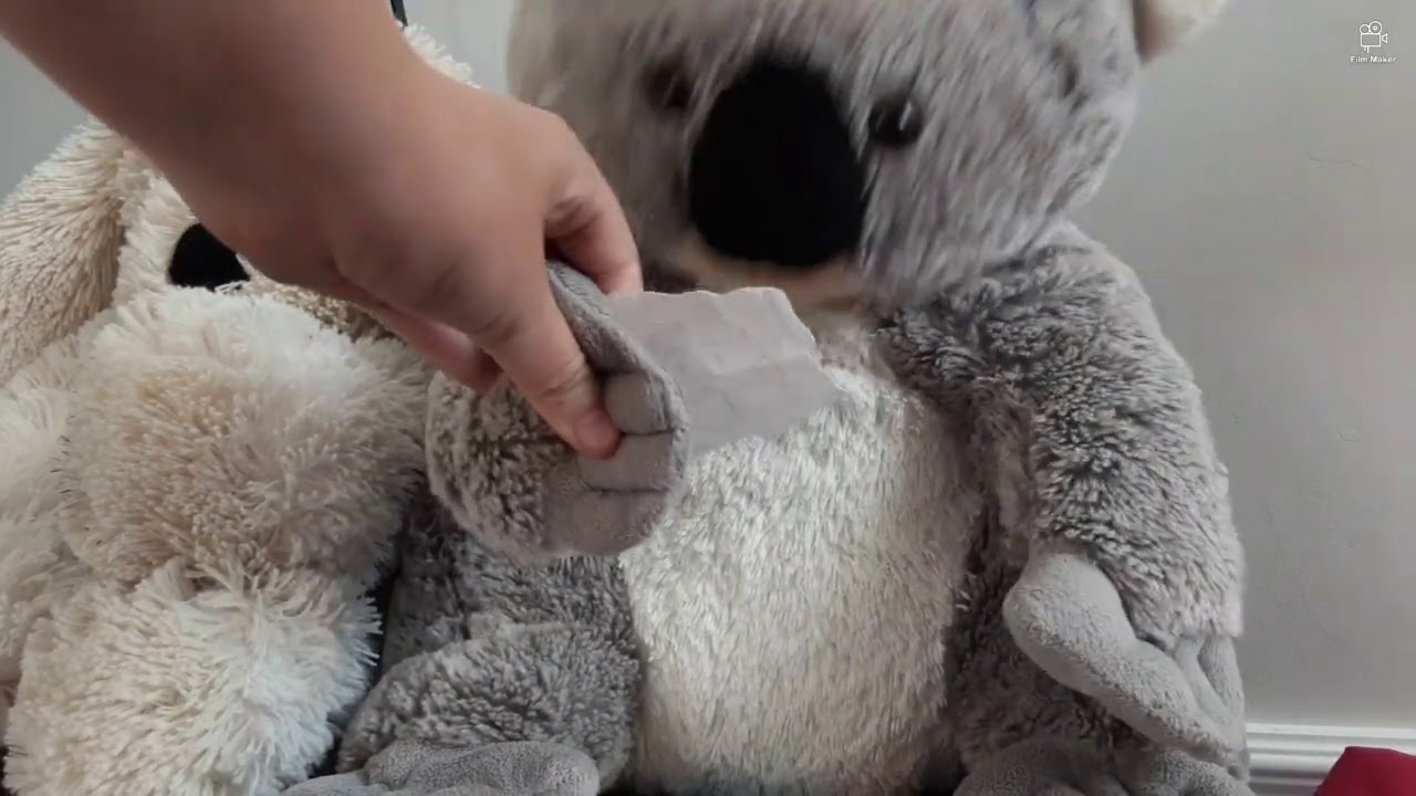 The Case Of The Missing Stuffed Animal-part 1 - YouTube