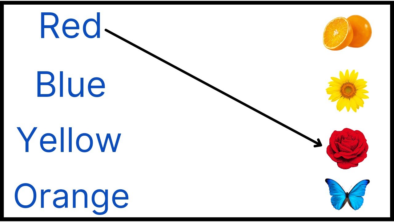 Colors worksheet for kindergarten | match colours | learn colours name ...