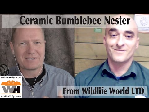 Wildlife World Bee Hive Ceramic Mammal Nester | Weekend Handyman