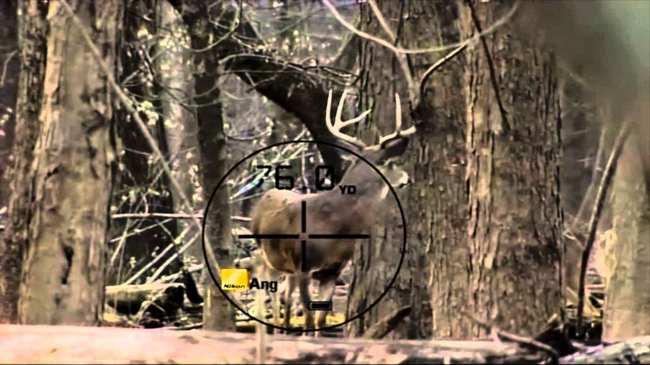 Joe's Pike County Big Buck Encounter - Eagle Lakes Outfitters - YouTube
