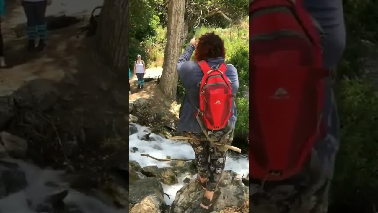 Cómo cruzar un rio sin mojarte - YouTube