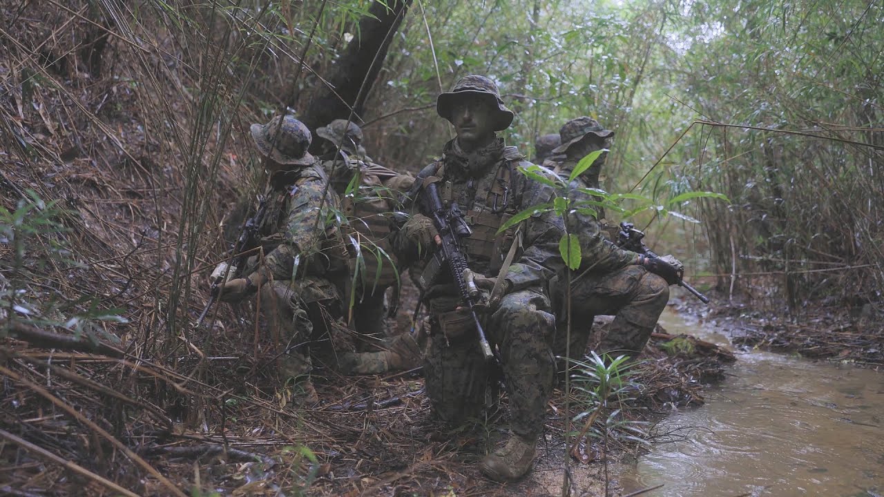 Recon Marines Jungle Insert On Camp Gonsalves - YouTube