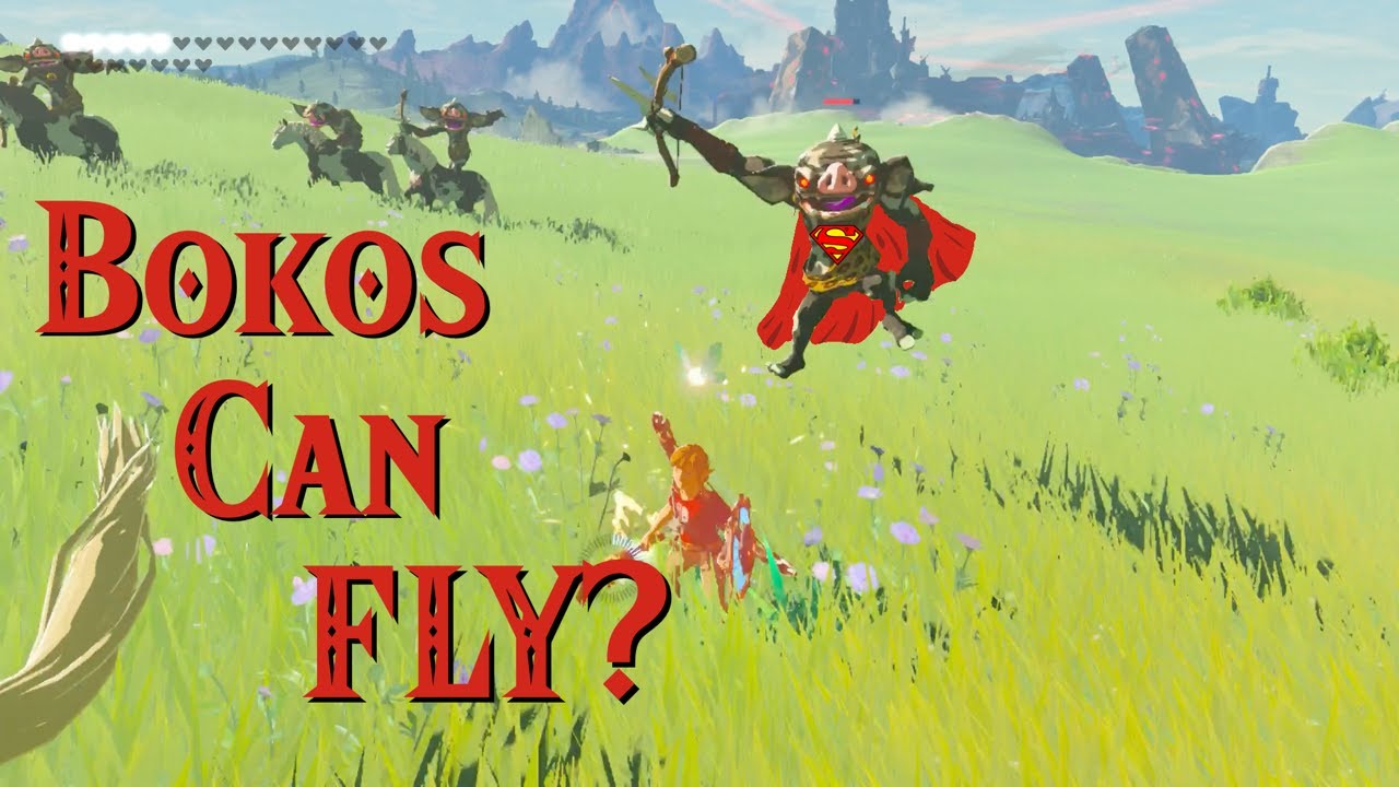Bokoblins Can Fly? | The Legend of Zelda: Breath of the Wild - YouTube