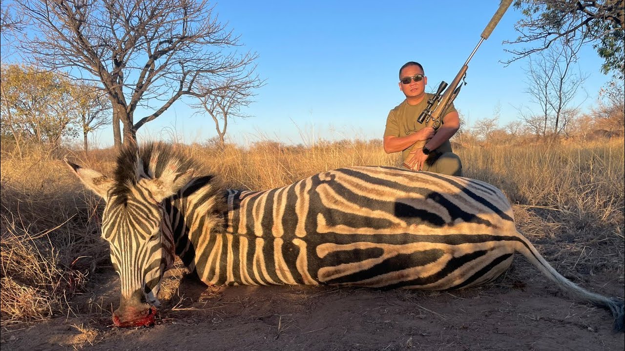 Hunting / Berburu Zebra in South Africa - Indonesian Hunter (Bangka) 🇿🇦 ...