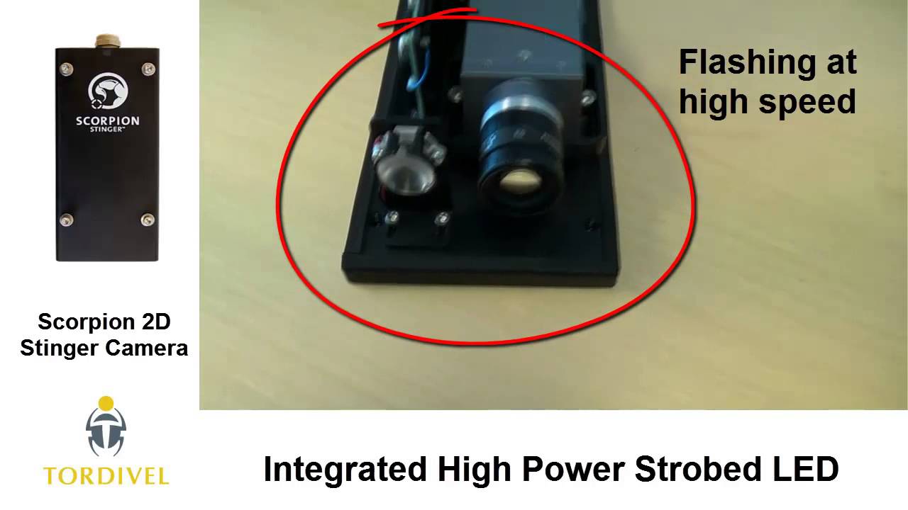 Scorpion 2D Stinger Camera - YouTube