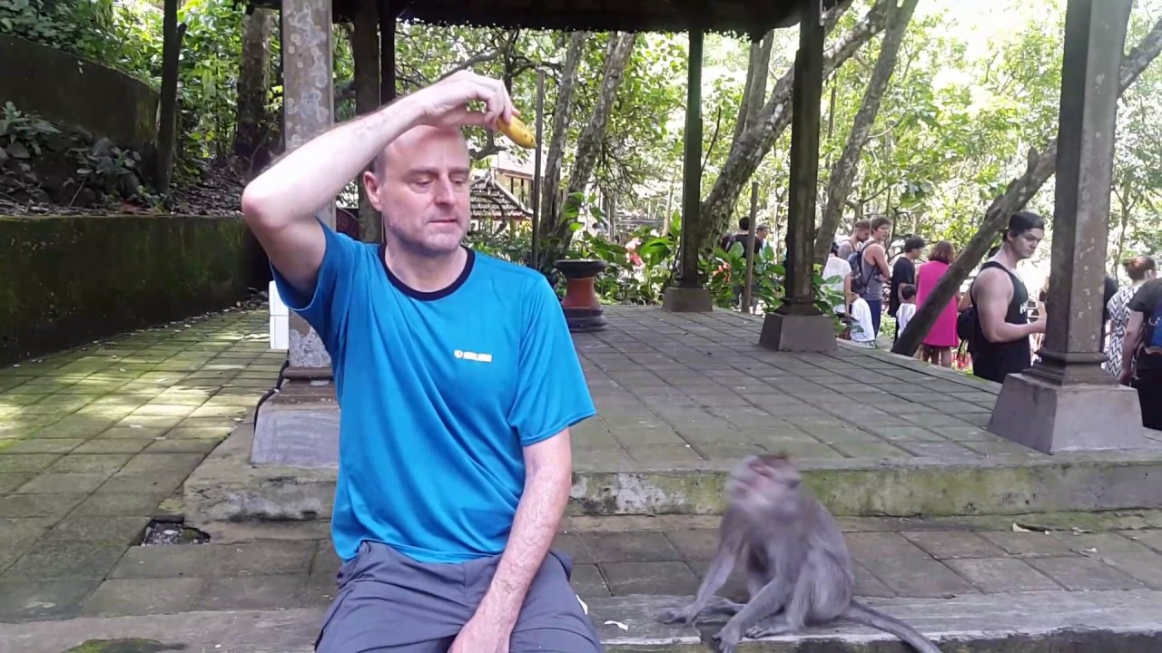 Monkey Fail - YouTube