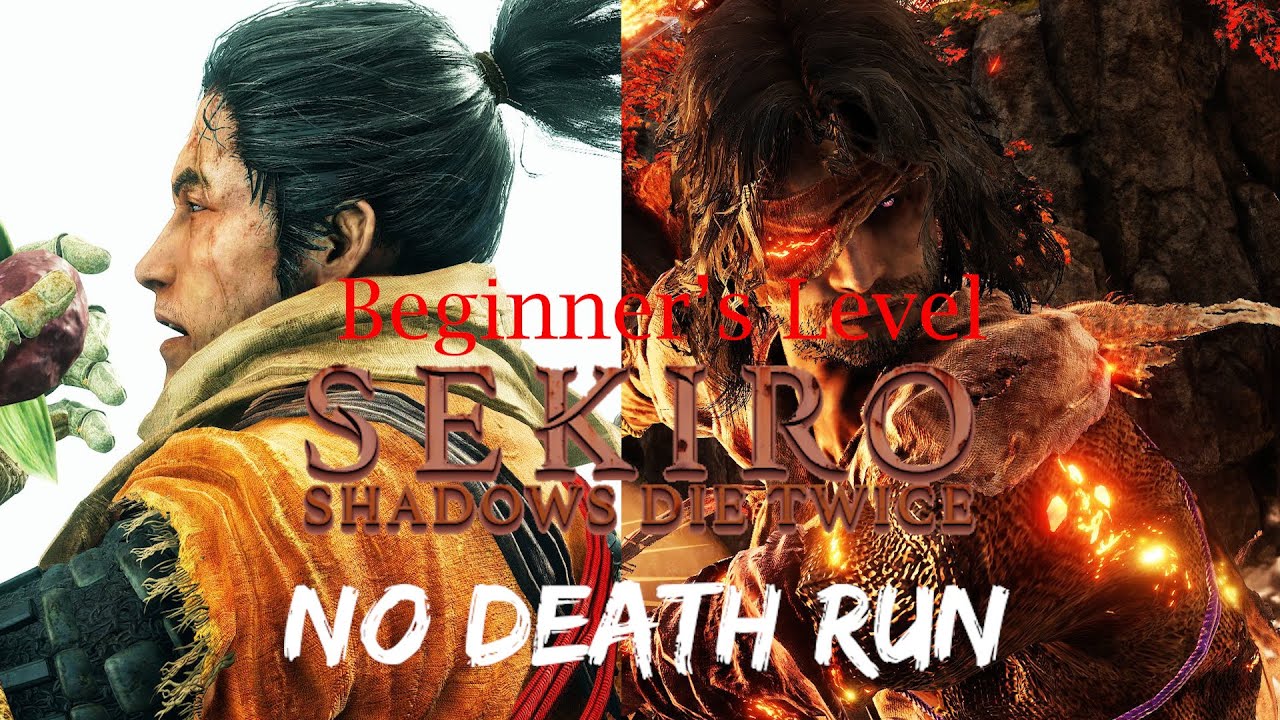 Sekiro No Death Done Quick: Beginner's Level - Shura Playthrough - YouTube