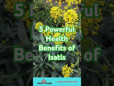 5 Powerful Benefits of Isatis | #carecrash