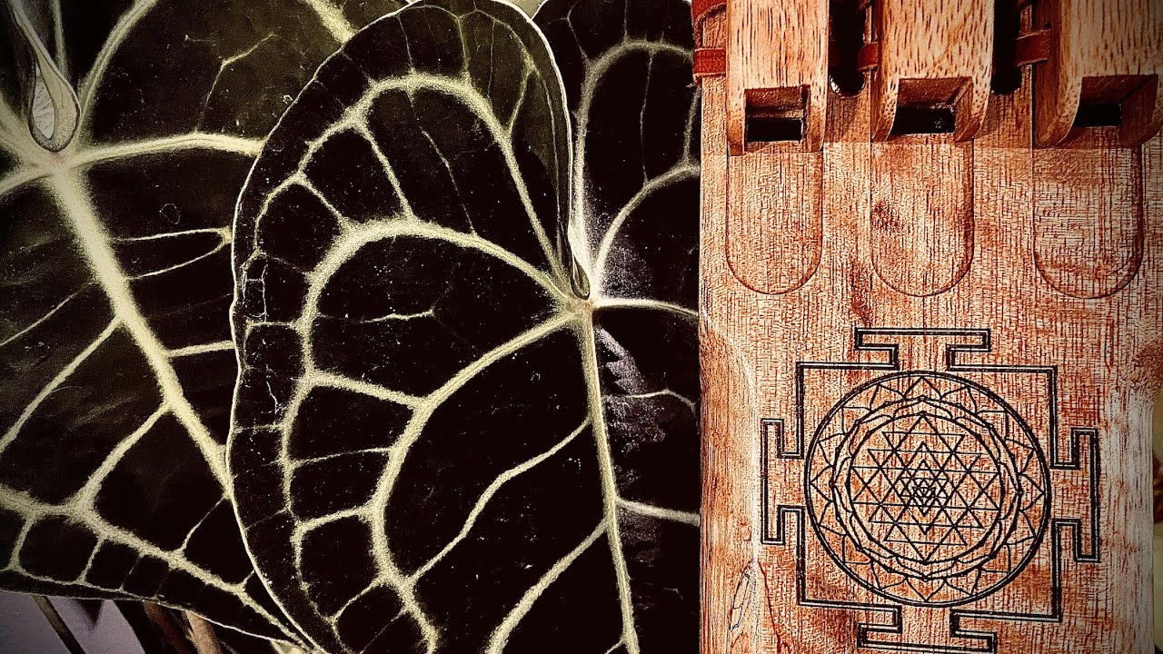 Triple Flute Meditation - Mountain Dream - Relaxing Native American ...