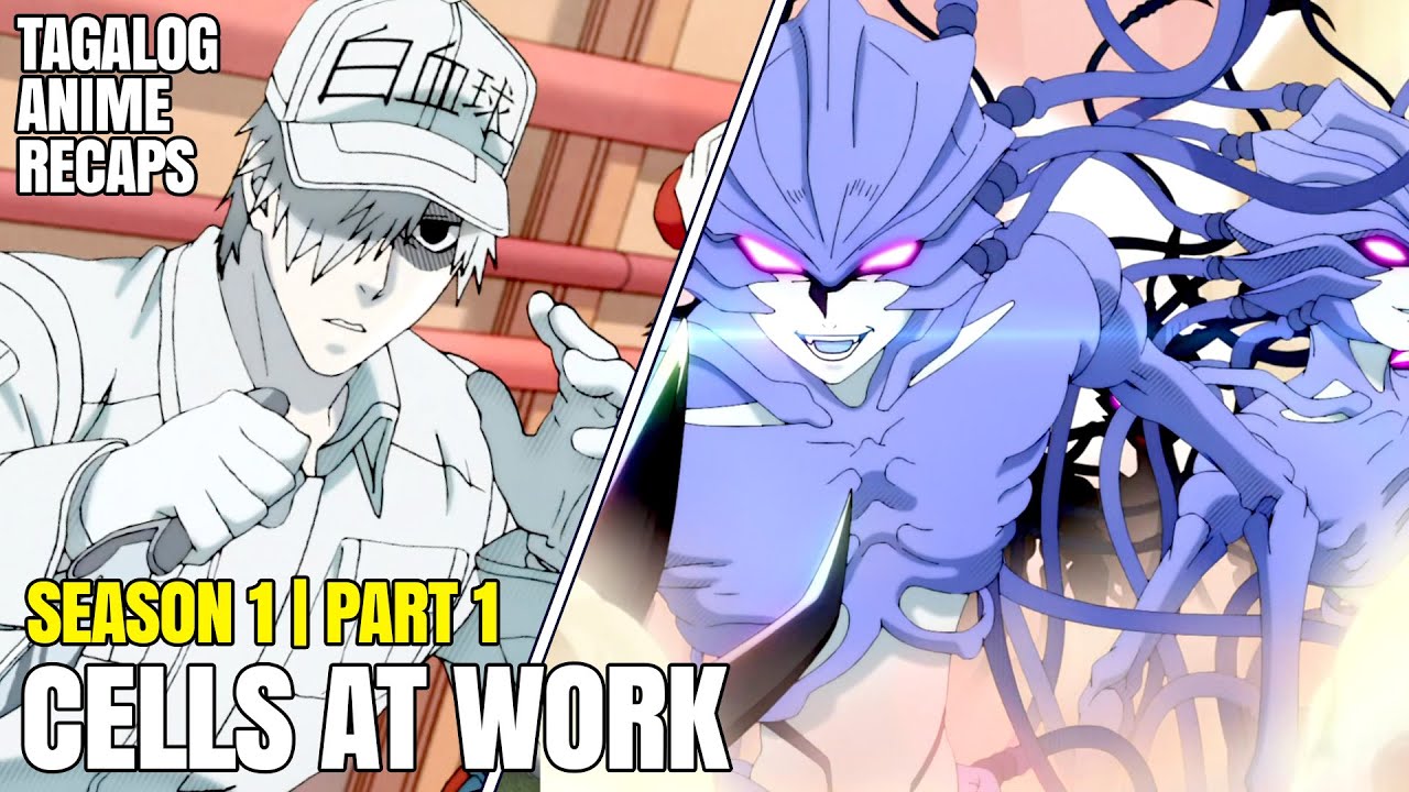 Storya ng Mga Blood Cells Laban sa Germs at Bacteria sa Katawan | Cells ...