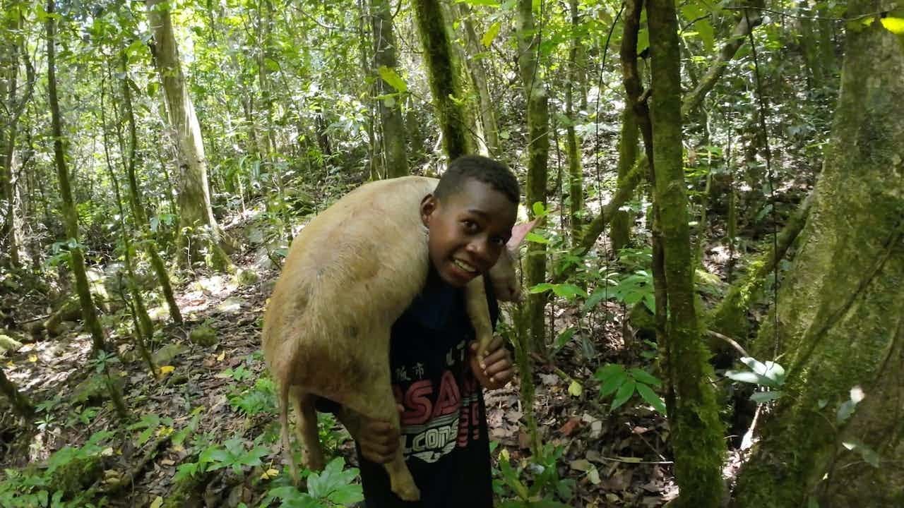 Hunting For Wilds Pigs With The Village Men & Kids🐖🇫🇯 - YouTube