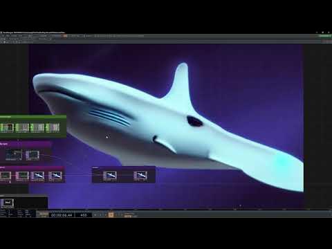 Realtime Diffusion / Deforum Animations in TouchDesigner! (text-to-video) - YouTube