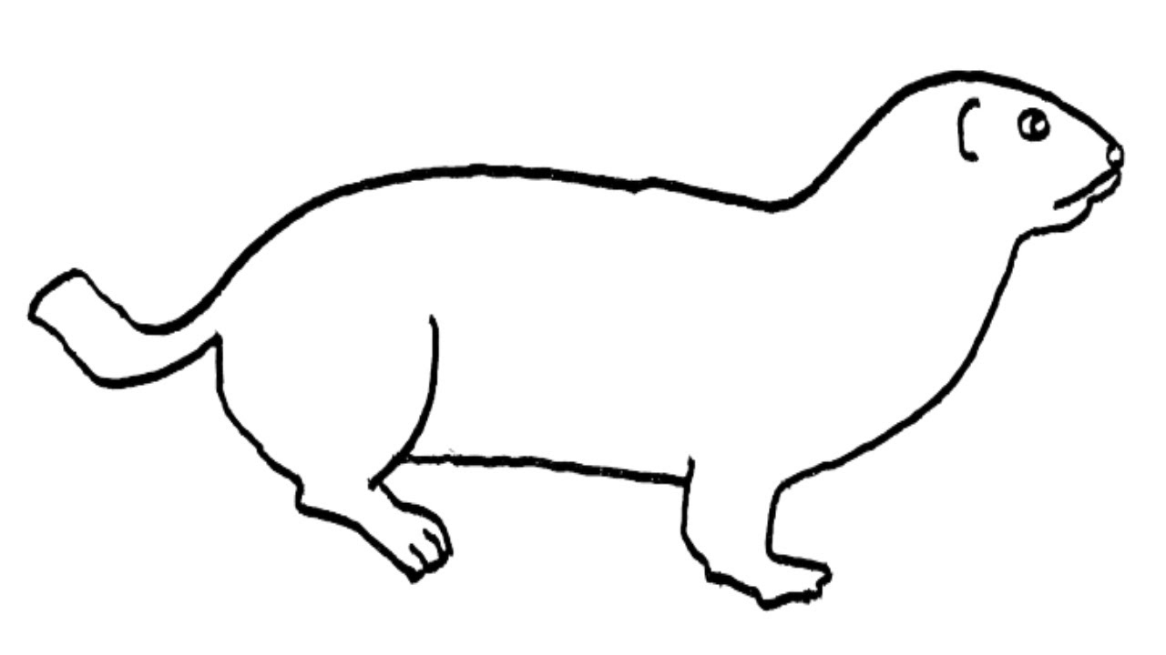 How to draw Weasel step by step easily - YouTube