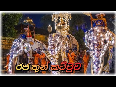 දෑල ඇතුන්ගේ රැකවල් මැද " සදාතුක කරඩුව වැඩම කරවන " සිංහ රාජා ඇතු " sinha ...