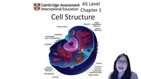 Chapter 1 - Cell Structure | Cambridge A-Level 9700 Biology - YouTube