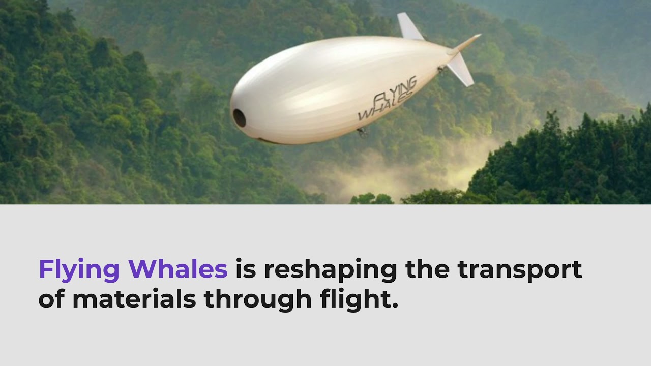 Case study - FLYING WHALES LCA60T - YouTube