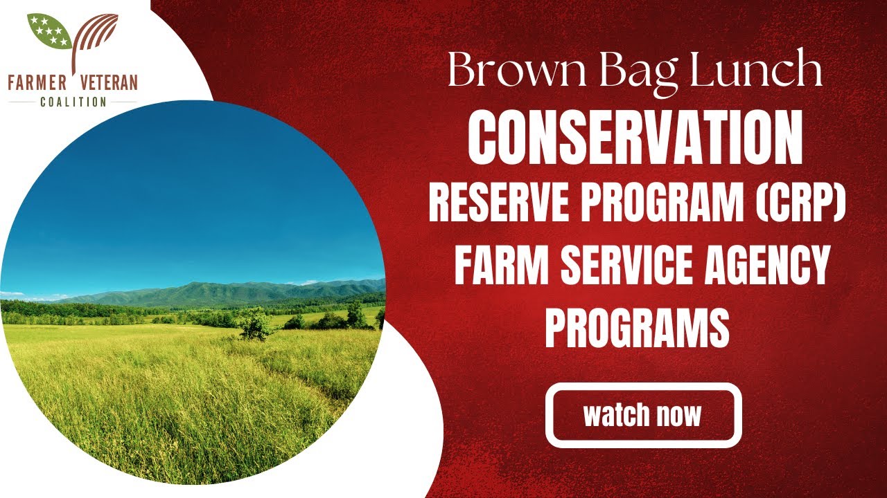 Conservation Reserve Program Webinar - YouTube