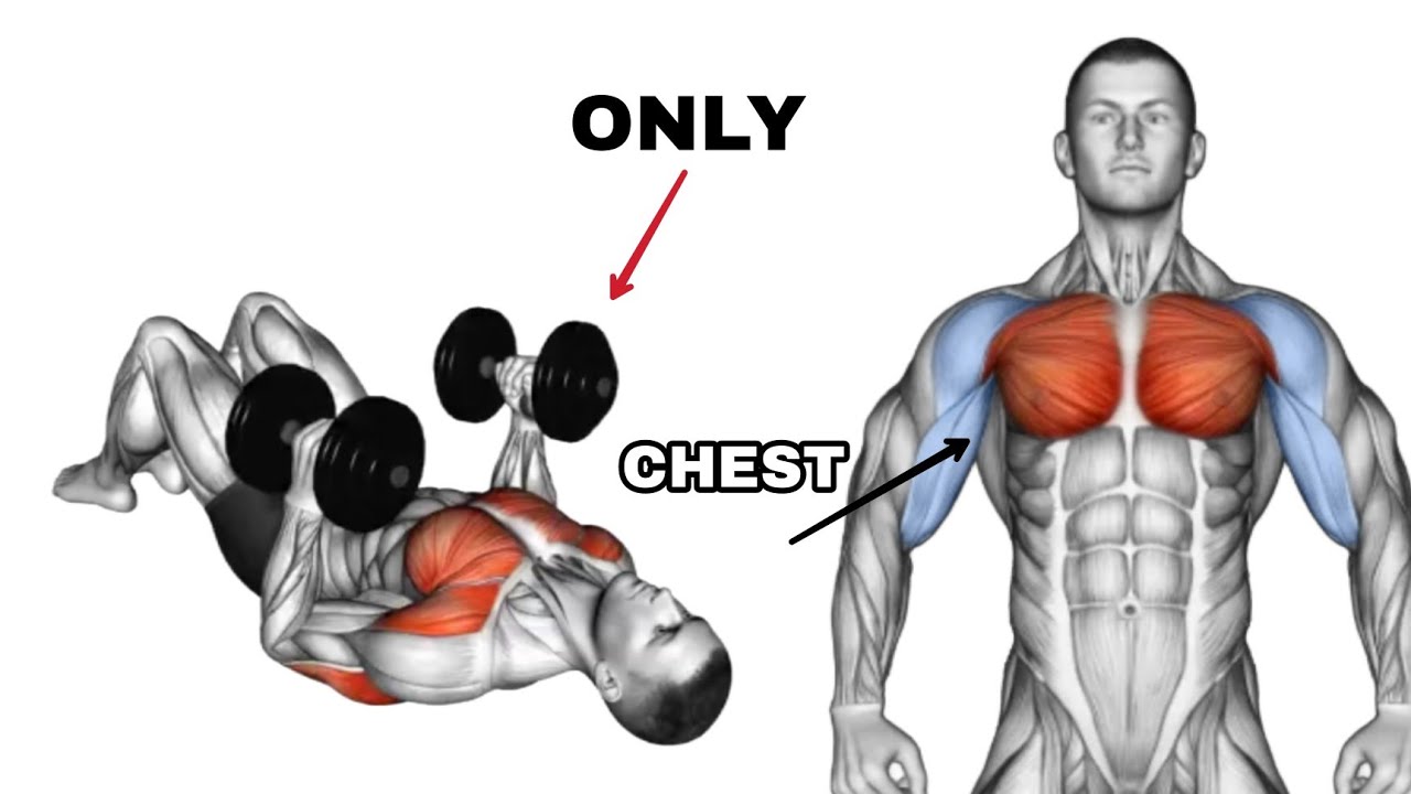 The Most Effective Chest Workout for Muscle Growth - YouTube