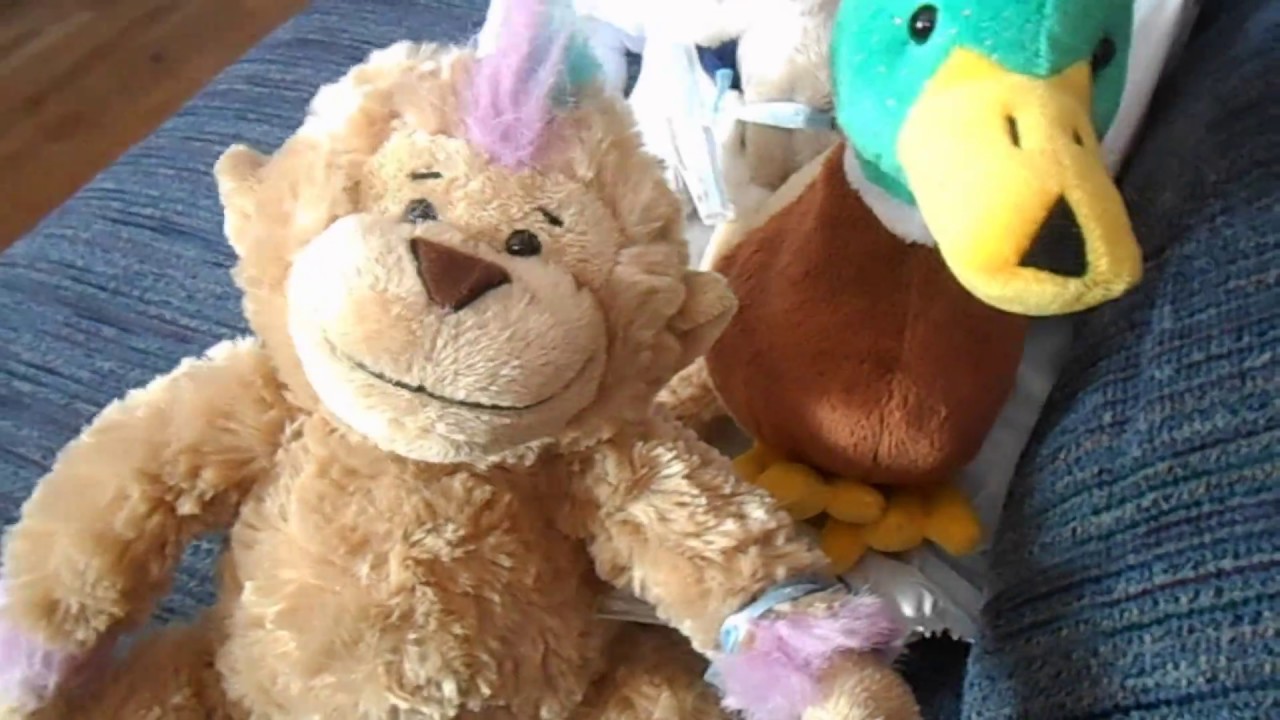 Welcome, New Webkinz! - YouTube