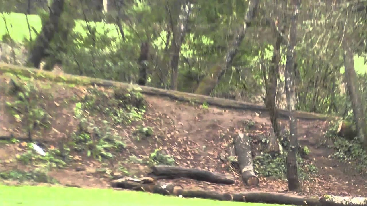 Leverich park - YouTube