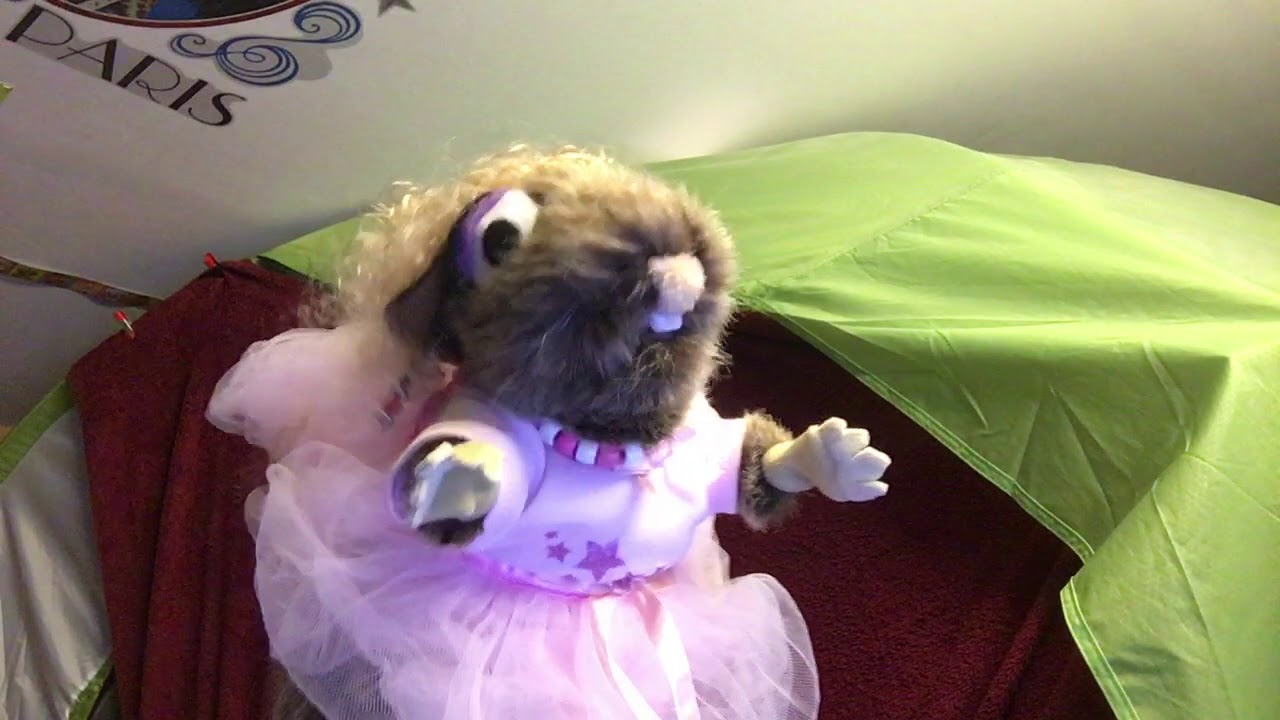 Yolanda the Rat Sings The Winner Takes It All - YouTube