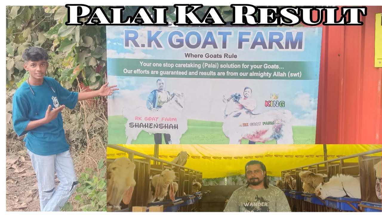 Full Tour RK Goat Farm & Palai Ka Result 🔥 - YouTube