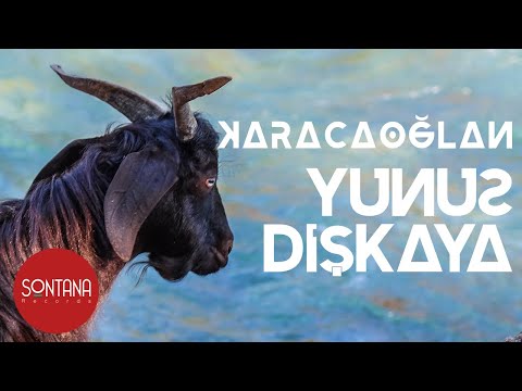 Yunus Dişkaya - Usandım (Official Audio - HD)