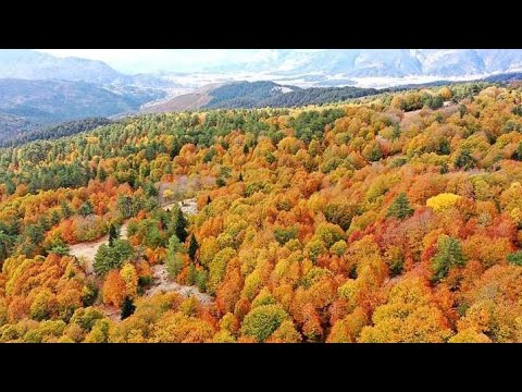 HAYVANLARDAN  GÜZEL GÜNLER(slayt) 🌹🌹🥰🥰 (RECEP BAYRAKTARA DESTEKCIYIZ)