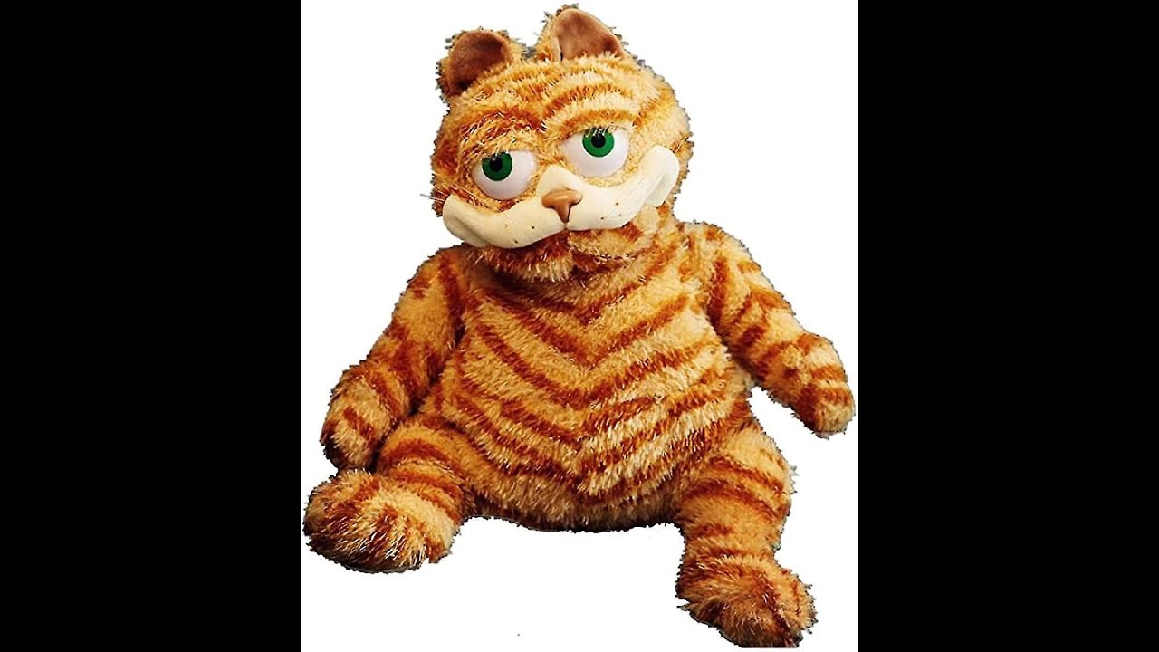 Ugly Garfield meme - YouTube