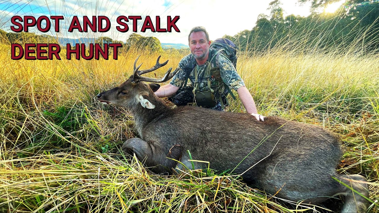 Lets Go Chase Some Rusa Deer - YouTube