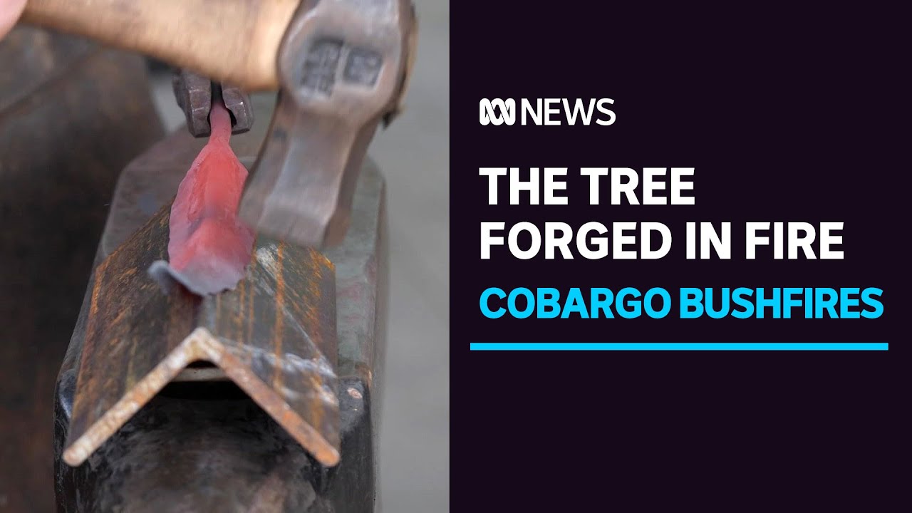 Bushfire-ravaged Cobargo comes together to create special memorial ...