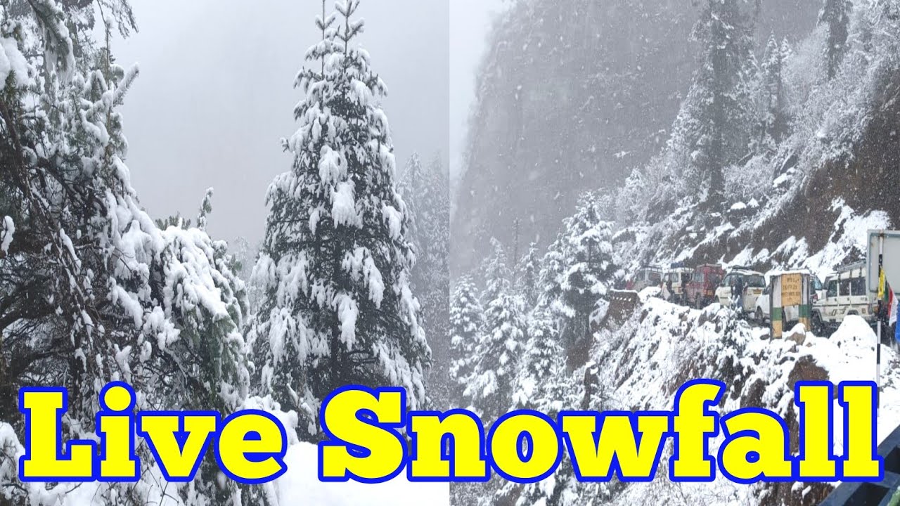 Live Snowfall on the way to Katao☃️☃️ ll Khandafalls North Sikkim🏔️🏔️ ...