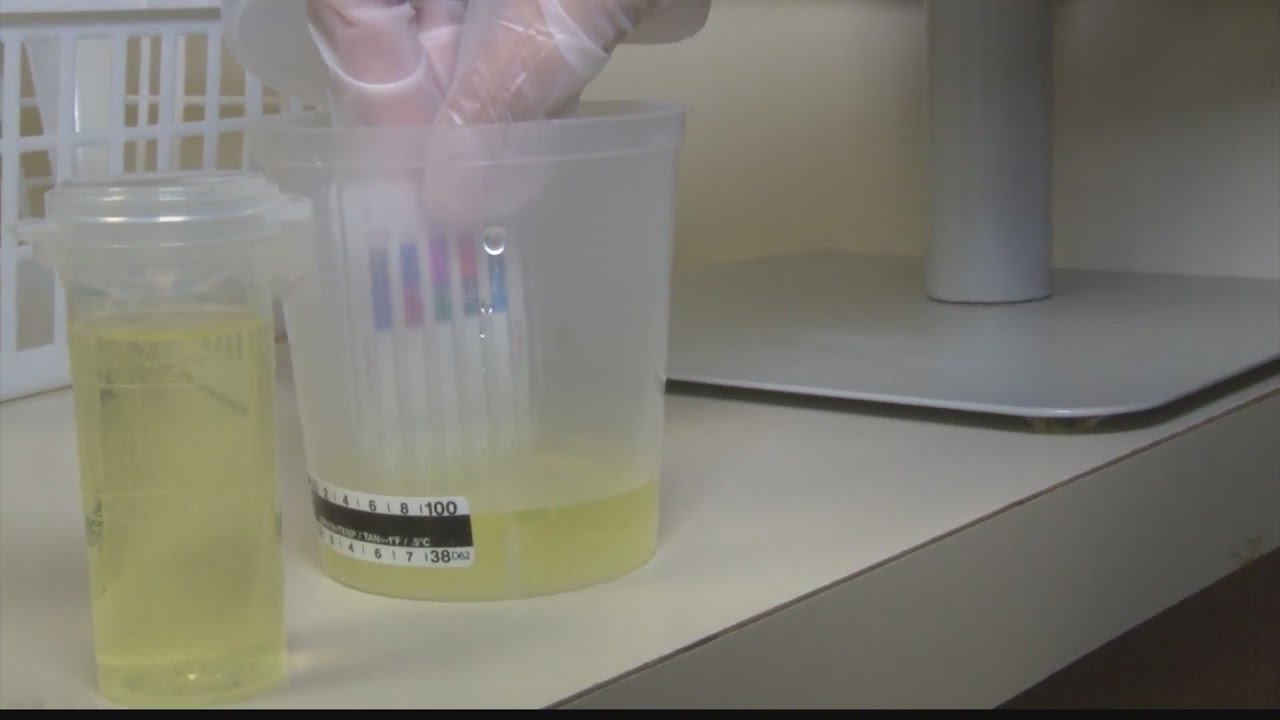 Point of collection drug test - YouTube