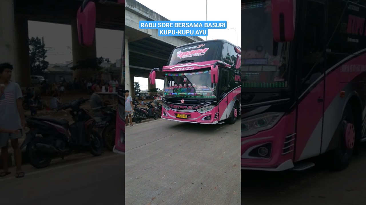 BUS BASURI KUPU-KUPU AYU ROSE EMPEROR#busbasuri#bustolelet#busmania# ...