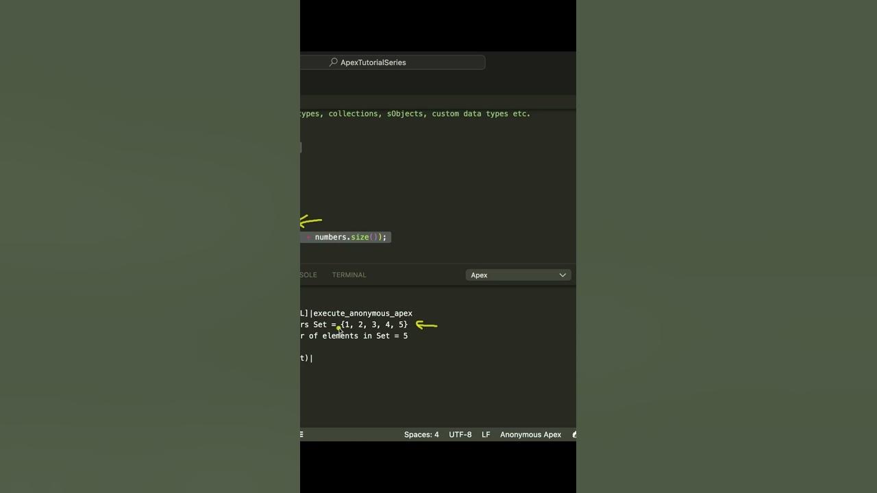 Initialize A Set In Apex Coding Sfdcstop Salesforcedeveloper Shorts Programming Youtube