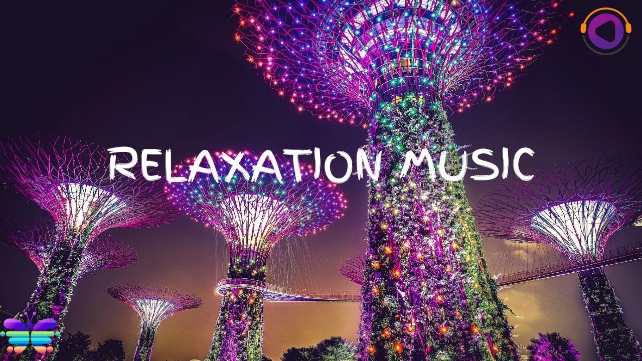 🍃🎵Breathe Easy: Dive into a World of Tranquility with This Life ...