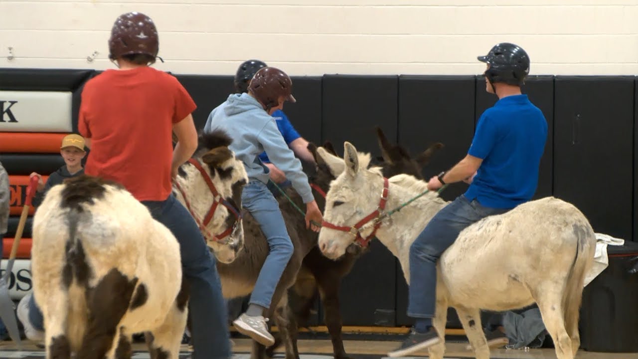 Park Rapids FFA Hosts Donkey Basketball Fundraiser - YouTube