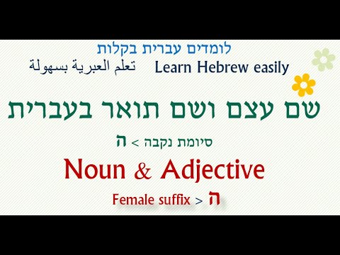Noun & Adjectives in modern Hebrew, שם עצם ושם תואר בעברית מודרנית ...