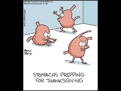Thanksgiving Digestion, ASMR, Hunger Pains, Loud Stomach, Growling ...