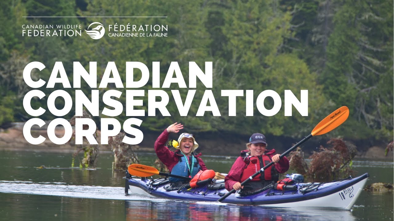 Canadian Conservation Corps | Corps de conservation canadien - YouTube