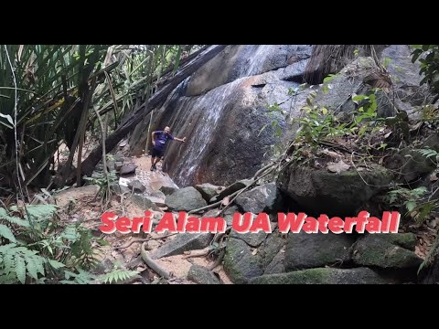 Bukit Lunchu Plants & Seri Alam UA Waterfall 伦楚山的植物与至达城 UA 瀑布