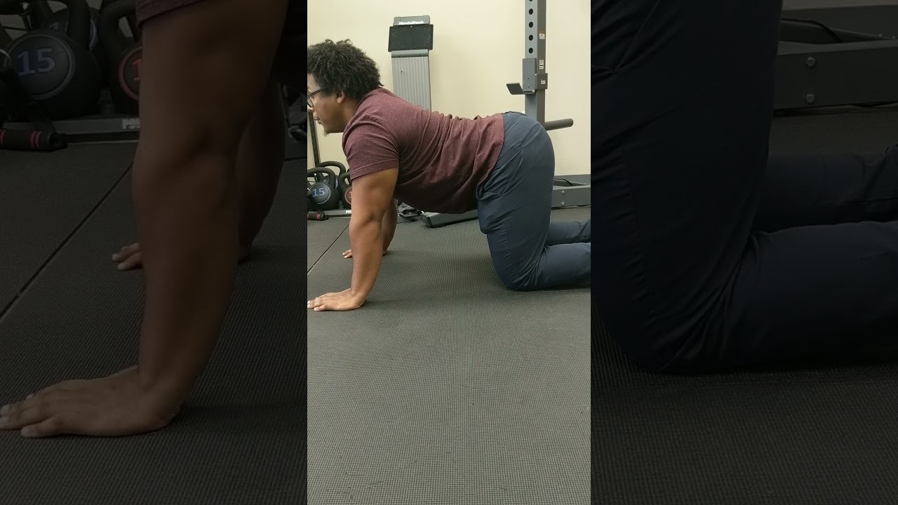 Cat Dog Exercise Tutorial - YouTube