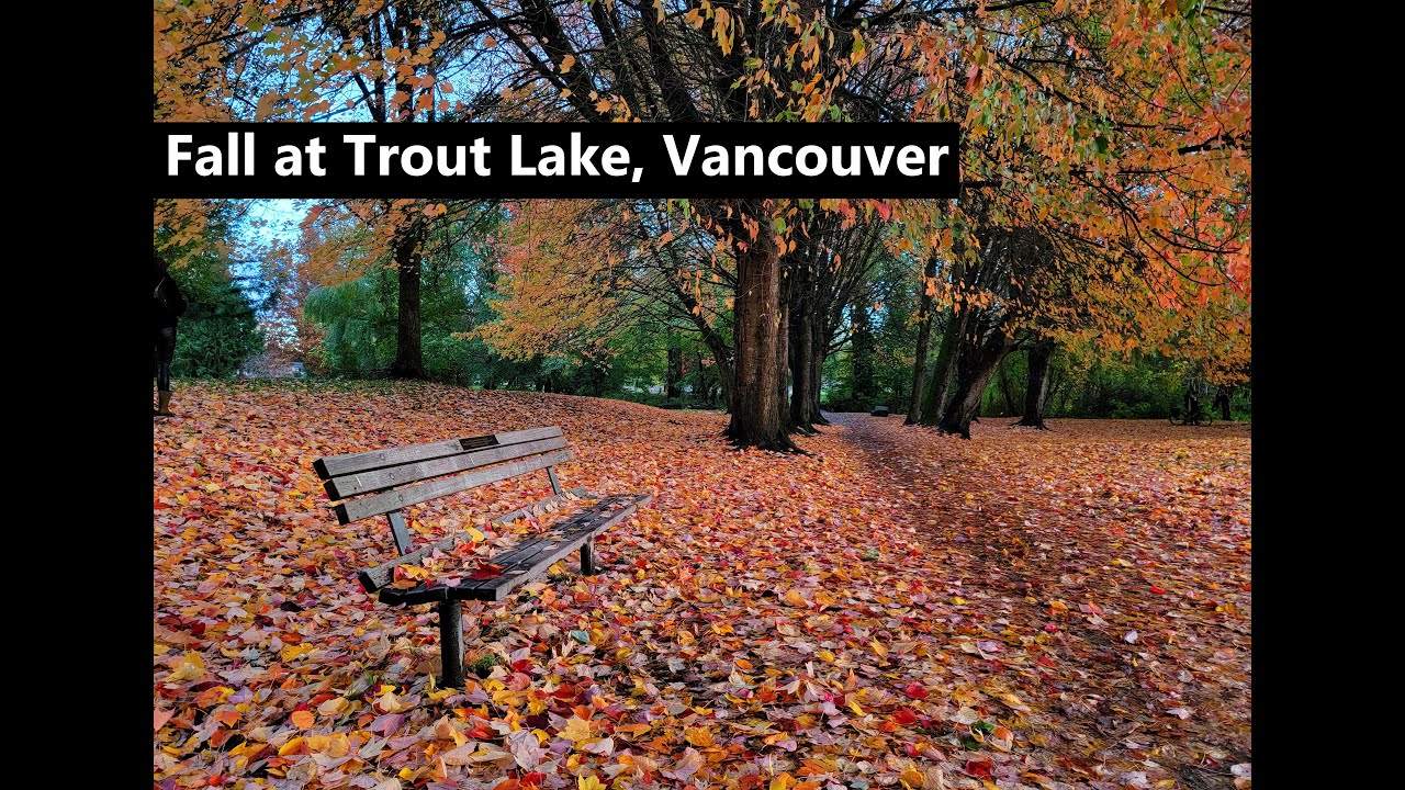 Fall at Trout Lake, Vancouver - YouTube