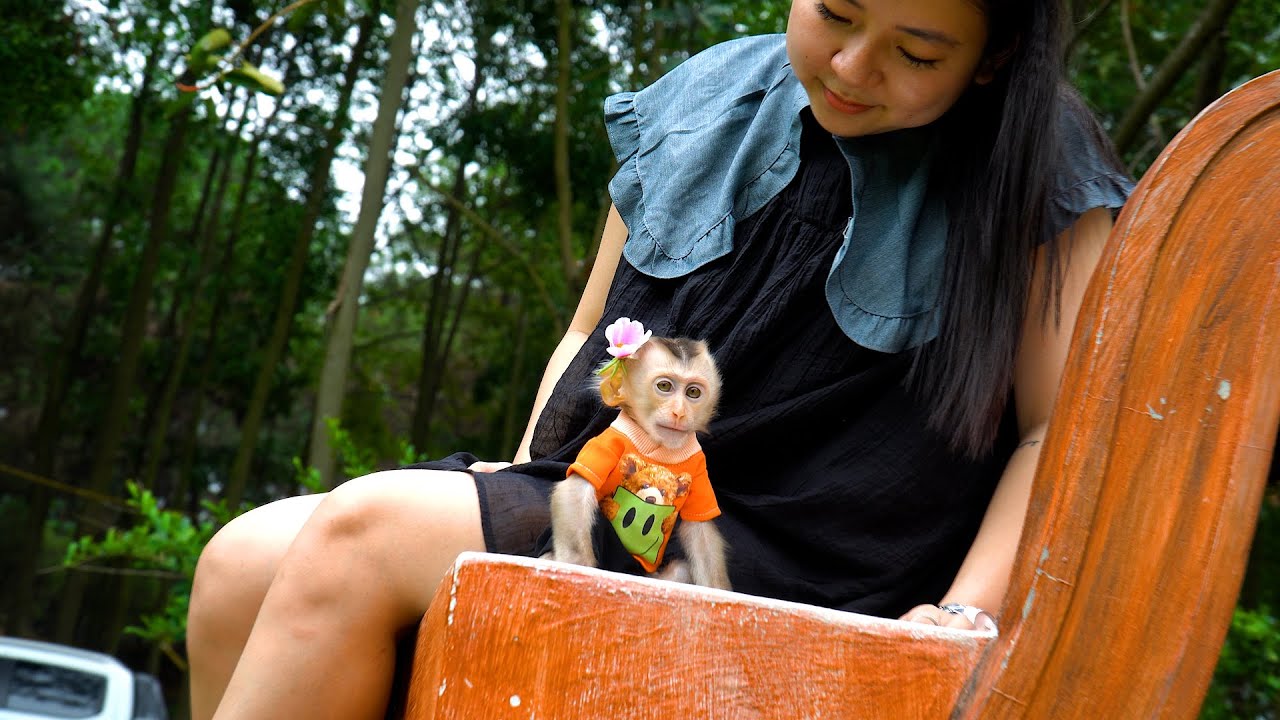 Monkey Tini Is Very Happy And Beautiful When Her Mother Let Her Go To ...