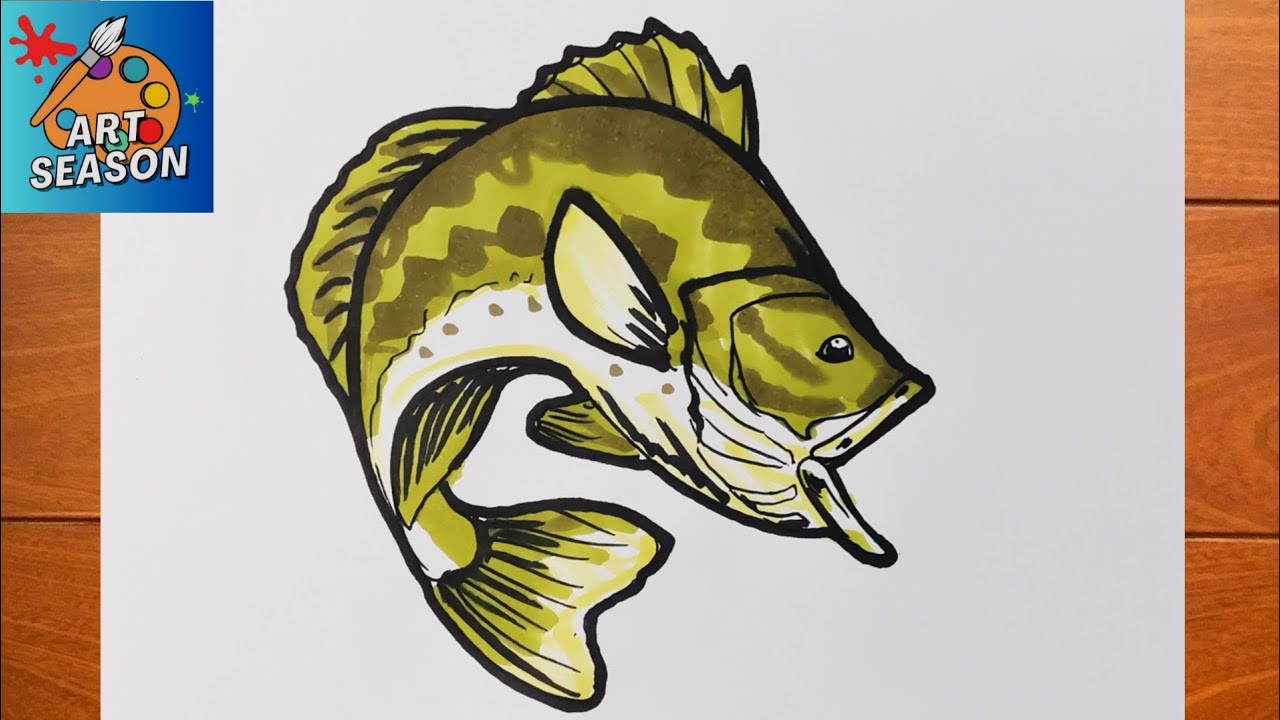 How to Draw a Largemouth Bass Fish - YouTube