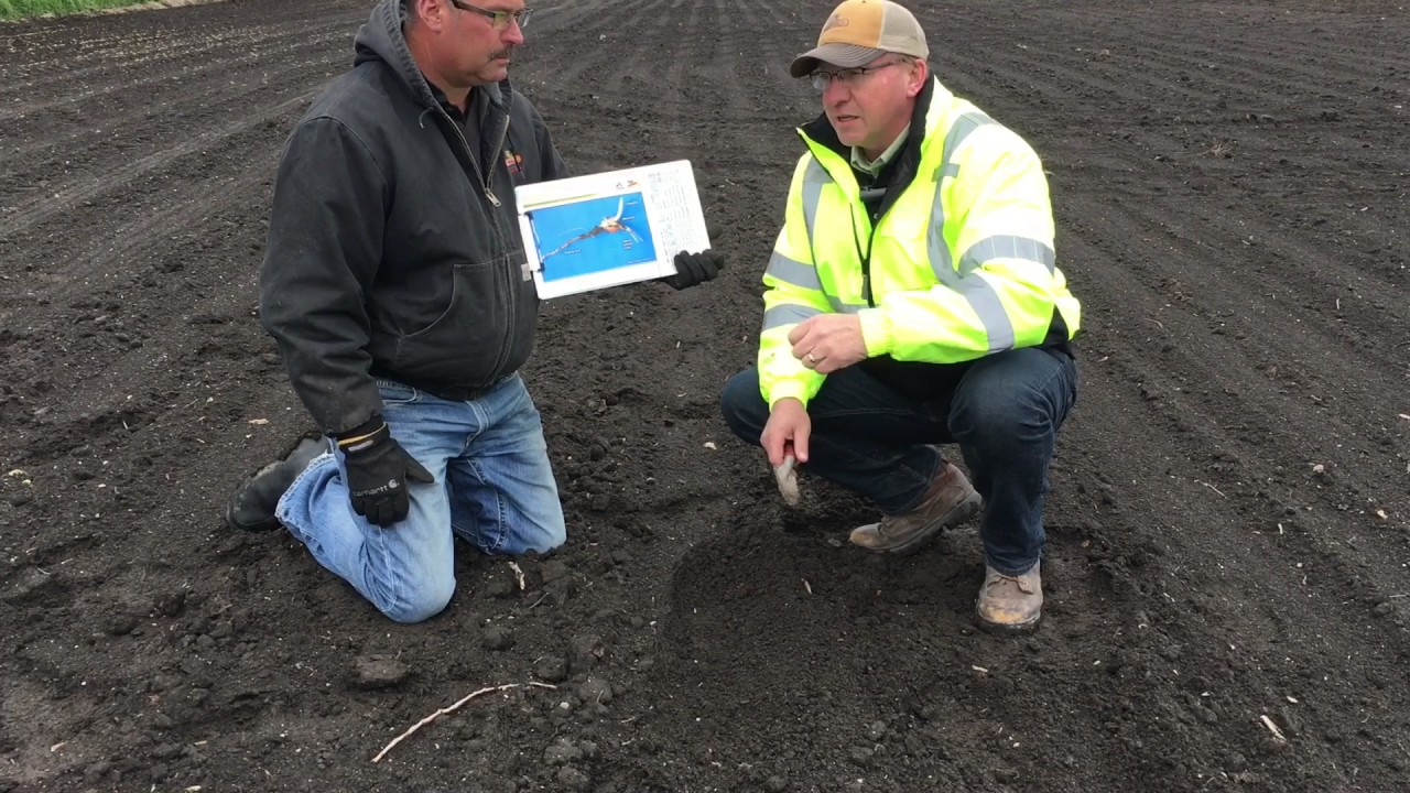 So you just planted Corn... now What? - YouTube