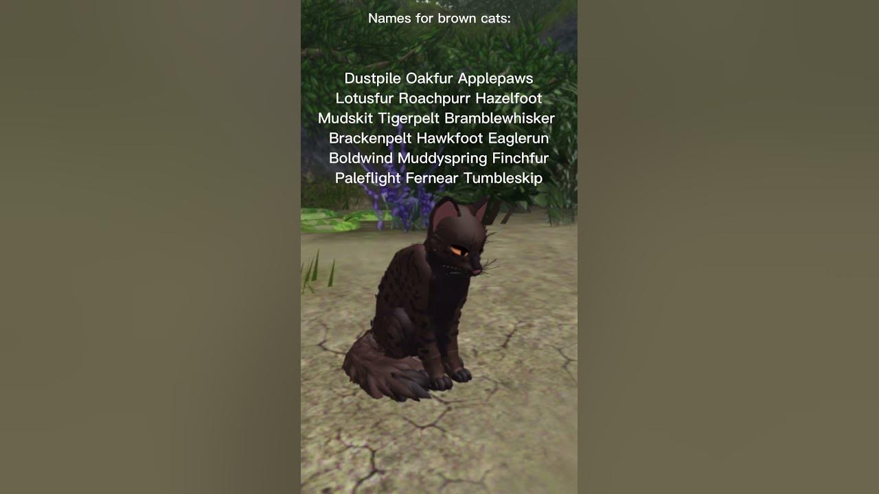 Warrior Cat Names For Brown Cats wcue shorts YouTube warrior-cat-names-for-brown-cats-wcue-shorts-youtube