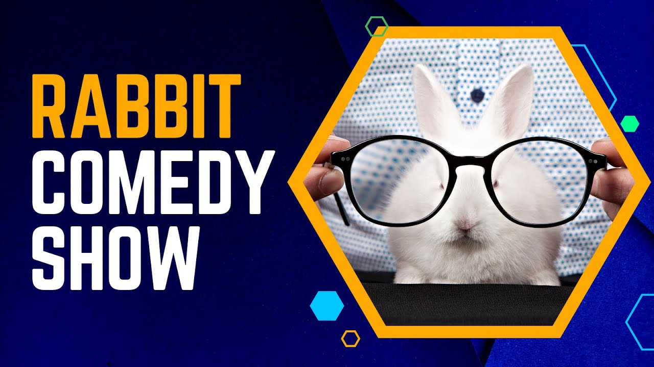 Funny Bunny Moments: Rabbit Comedy Show 🐇🐰🫢 - YouTube