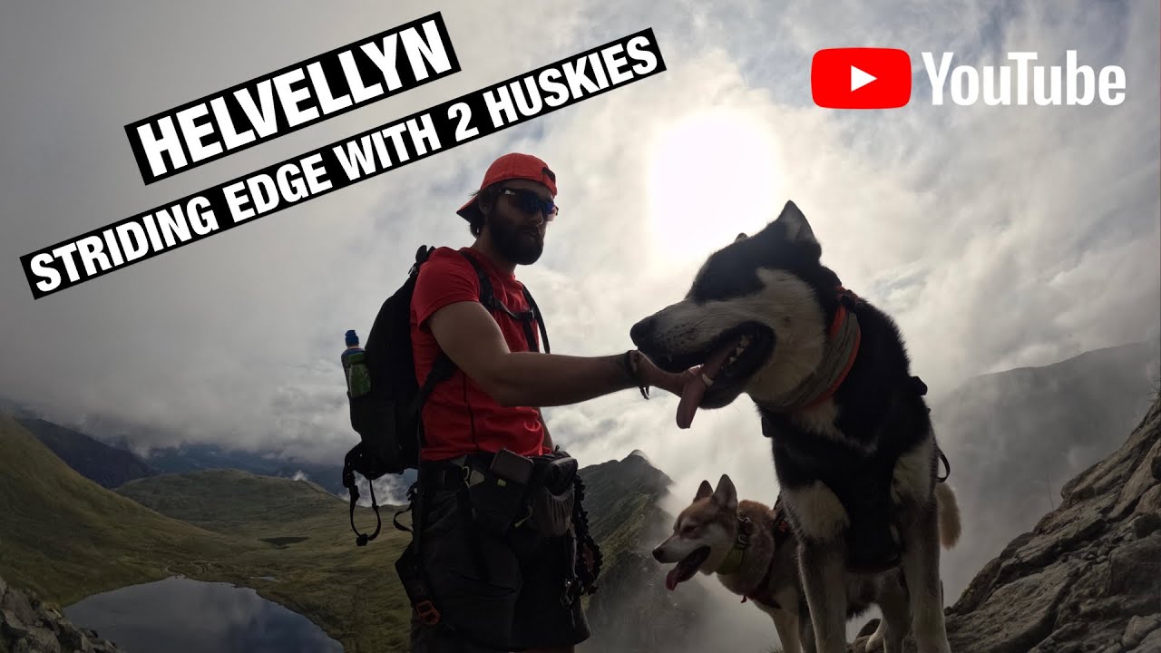 Helvellyn Via Striding Edge with 2 Huskies - 4K - YouTube