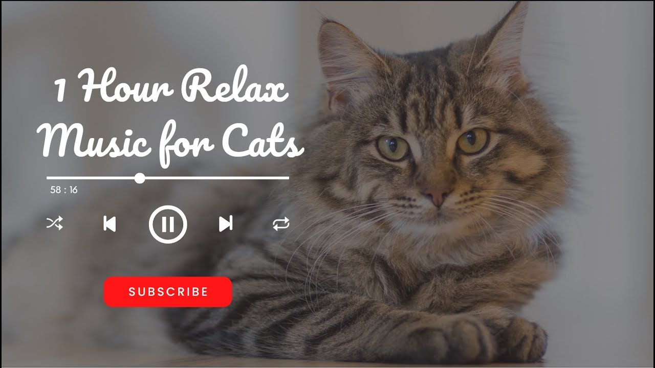 Deep Soothing Music for Cats (with cat purring sounds) - Relieving ...